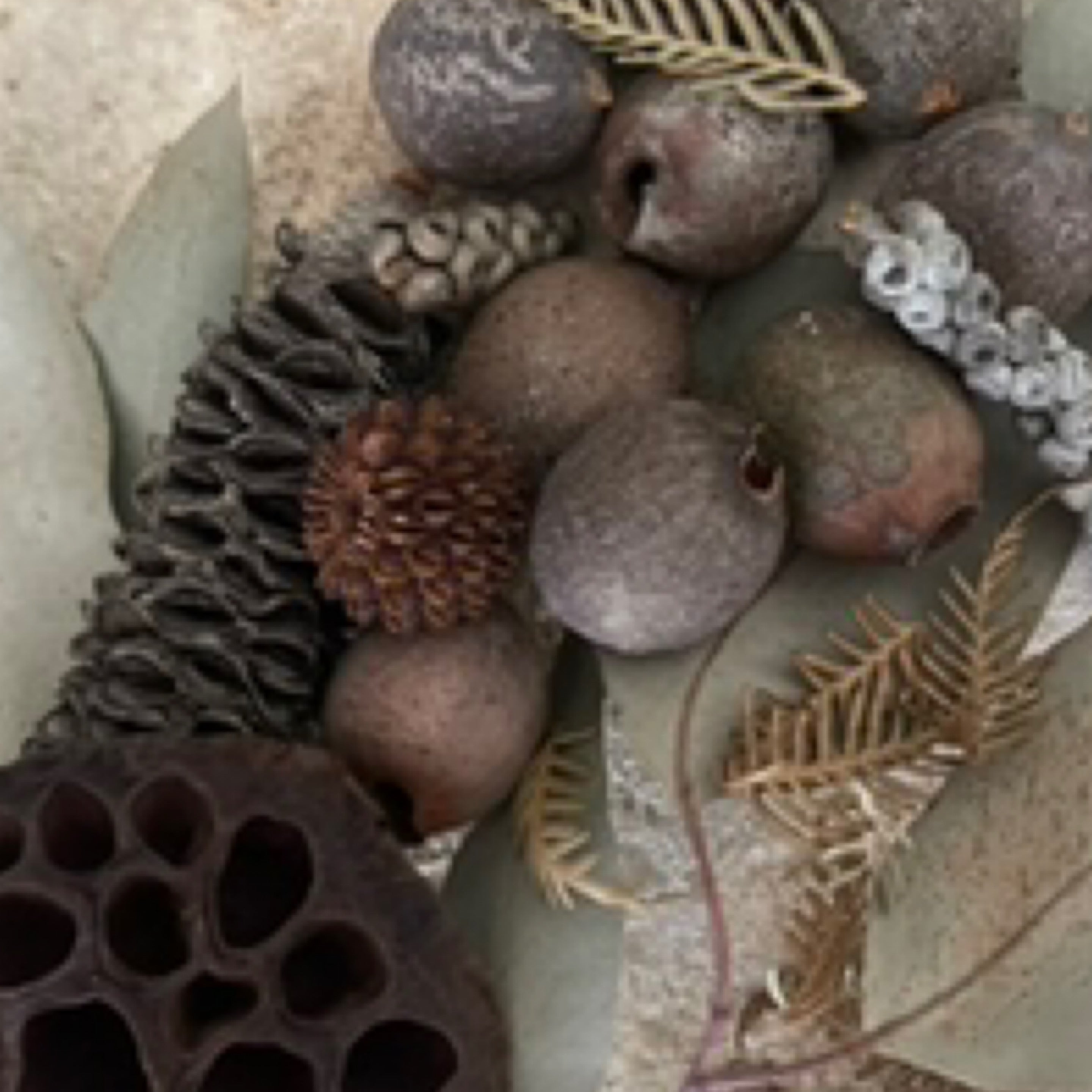 Sensory Nature Play Mix – Australian Crafting & Sensory Exploration ...